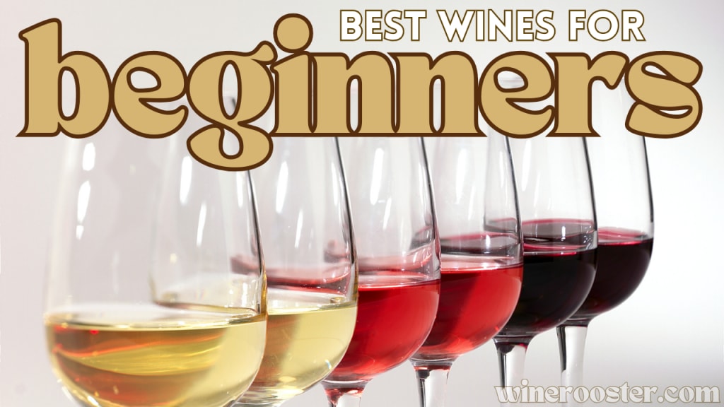 16 Best Wines For Beginners - Learn How to Start Enjoying it