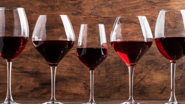 16 Best Wines For Beginners - Learn How to Start Enjoying it