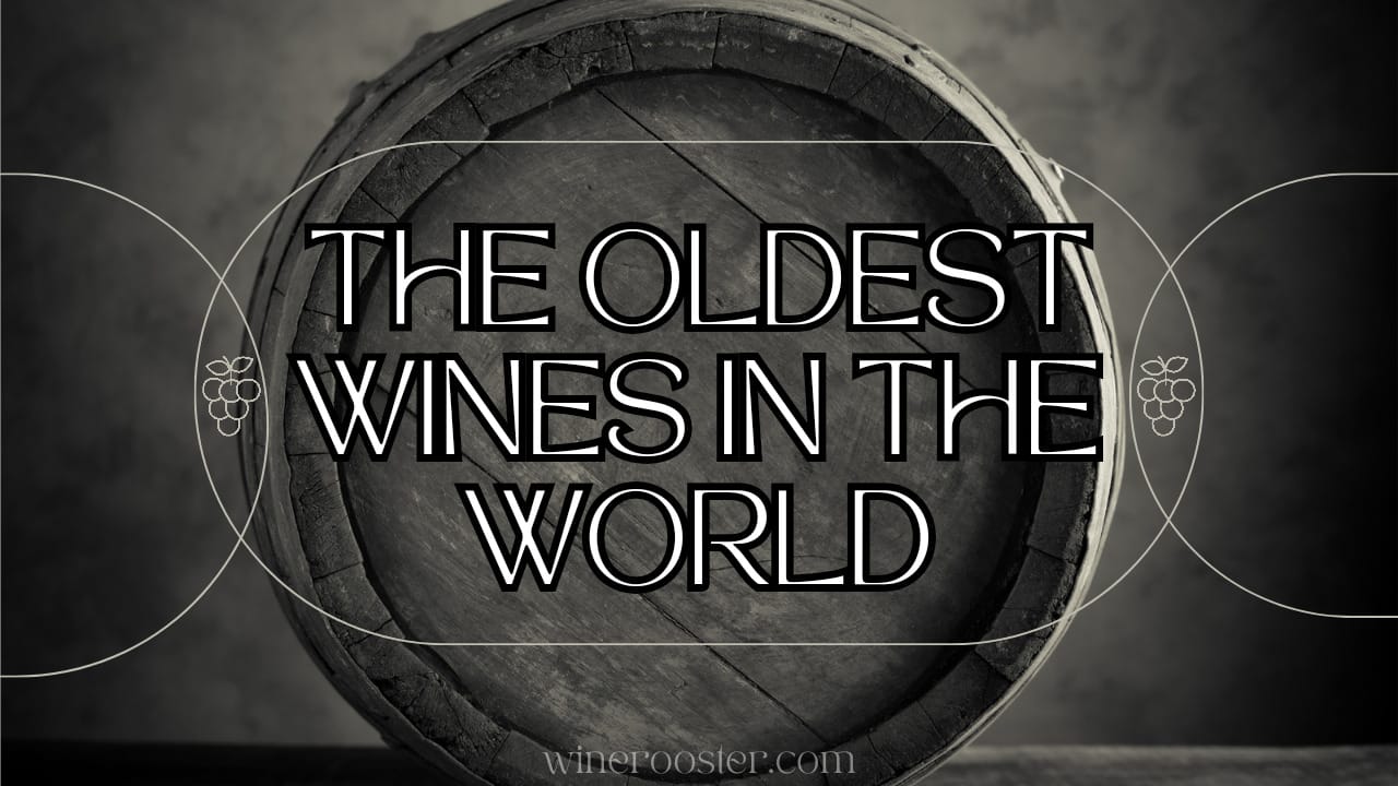 The Oldest Wine in the World - Is it Drinkable?
