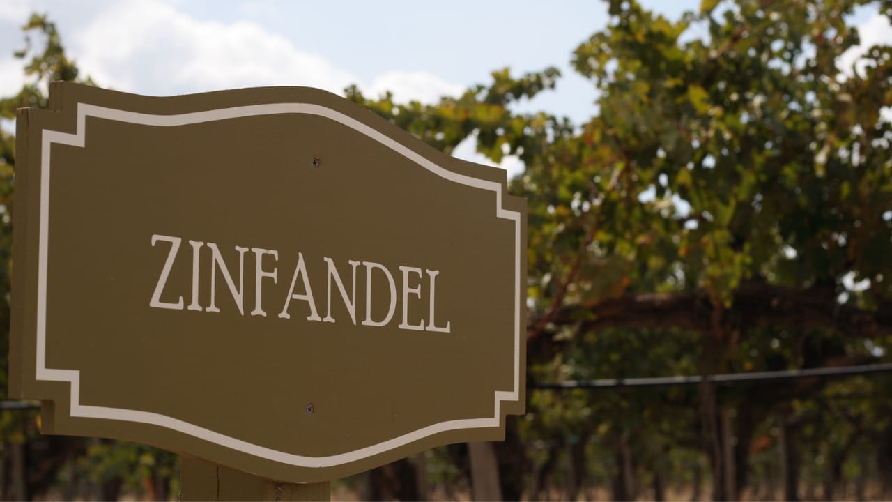Mouthwatering Zinfandel Food Pairings - The Perfect Match
