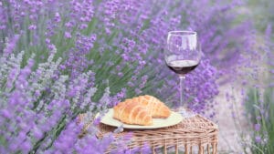 Côtes du Rhône Food Pairing Guide - The Perfect Match